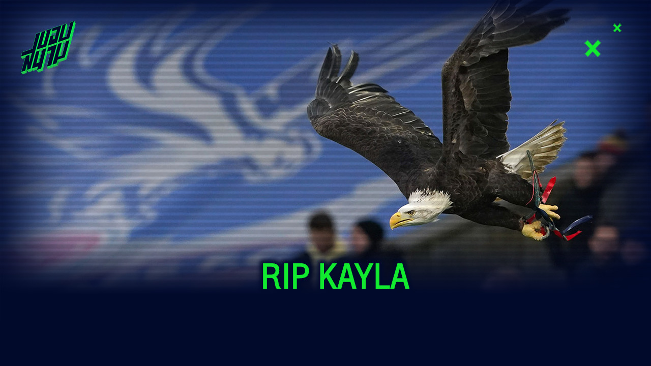 RIP KAYLA : นกอินทรีย์มาสค็อต ของ คริสตัล พาเลซ สิ้นใจในวัย 28 ปี - ขอบสนาม